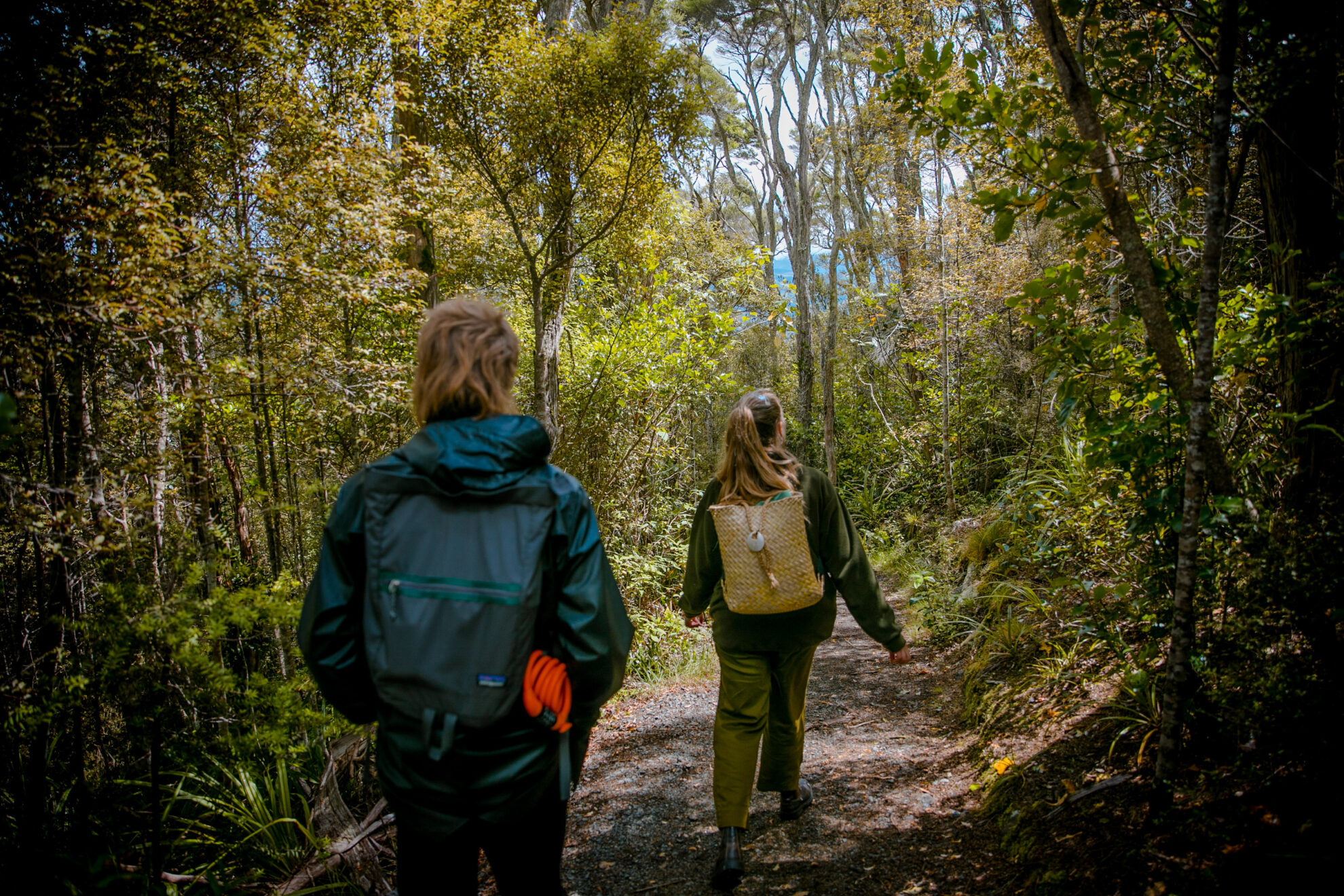 Orokonui Guided Tours - Orokonui Ecosanctuary